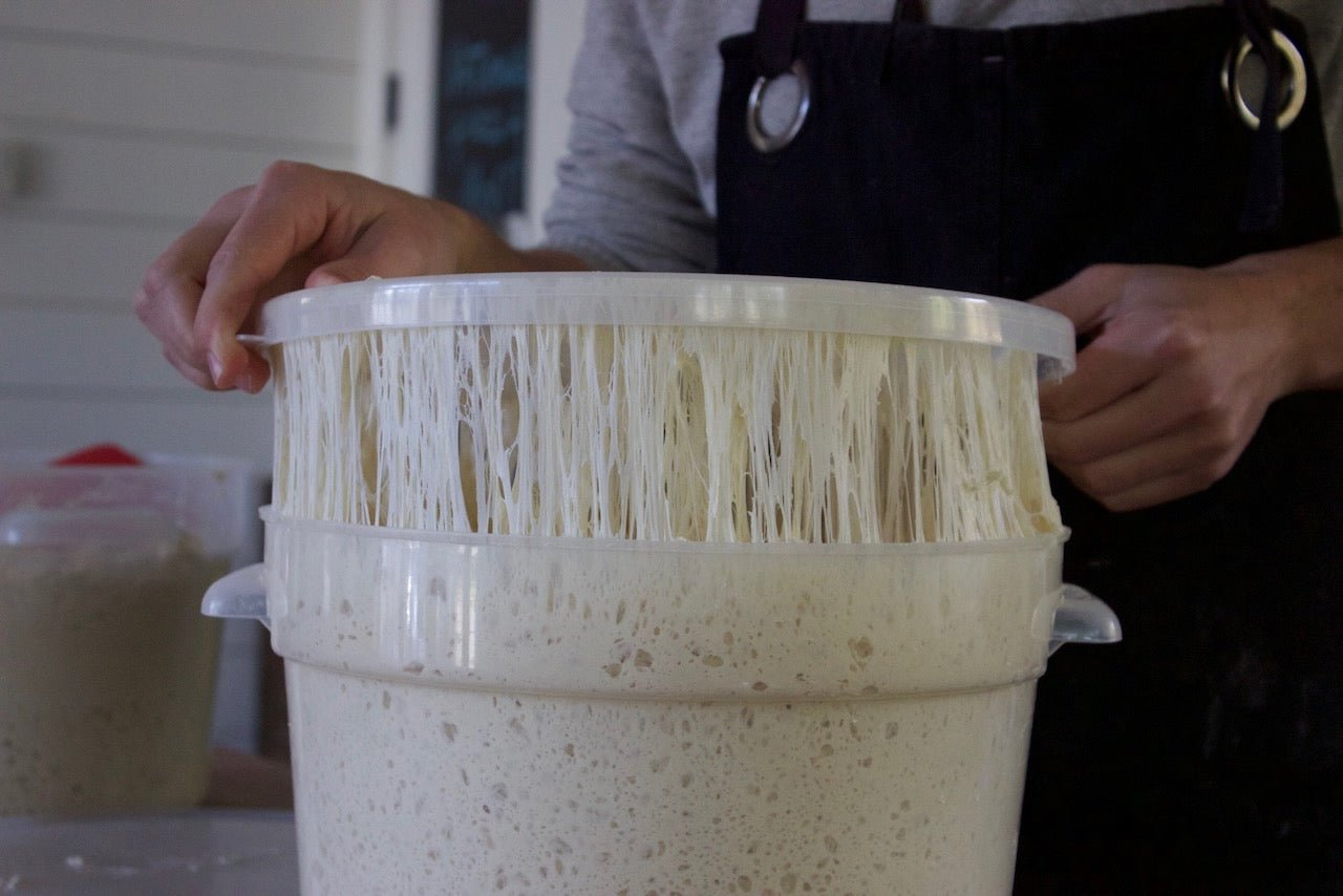 Reviving Over-Proofed Dough with This Simple Baking Hack – Baking Steel